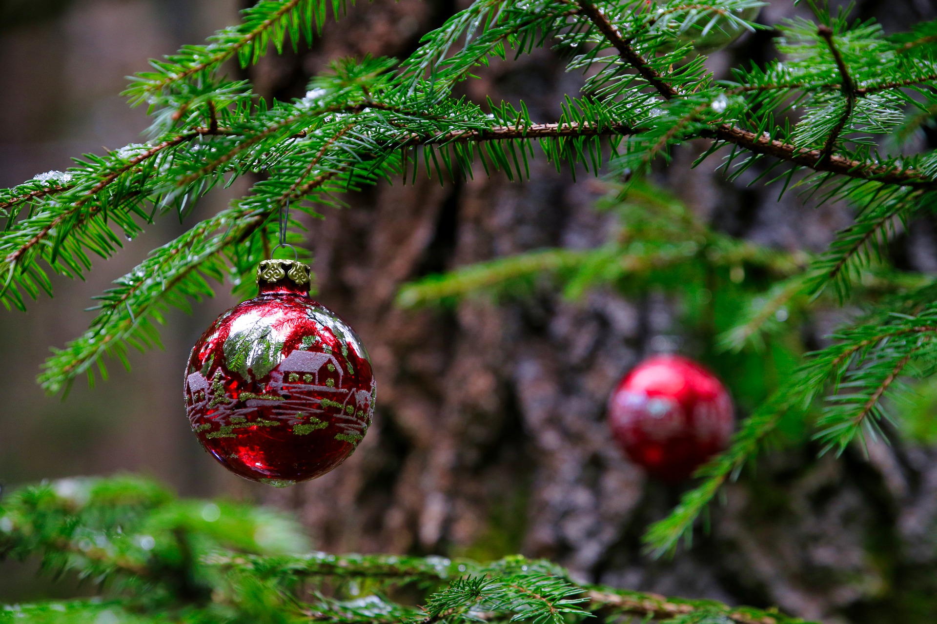 Self Storage Units East Anglia | From Hamiltons Removals